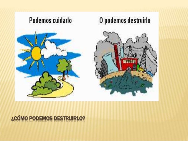 Ambientes naturales y ambientes artificiales