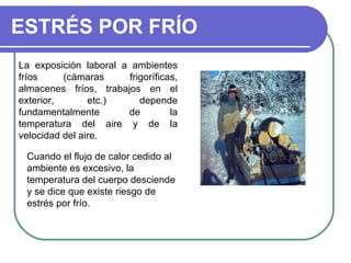 Ambientes termicos i | PPT