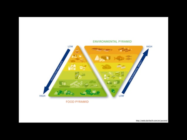 Health | Tech | Food Infographic Reel | KEY