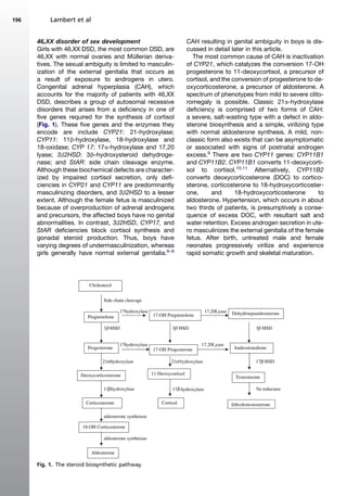 Ambiguous genitalia | PDF