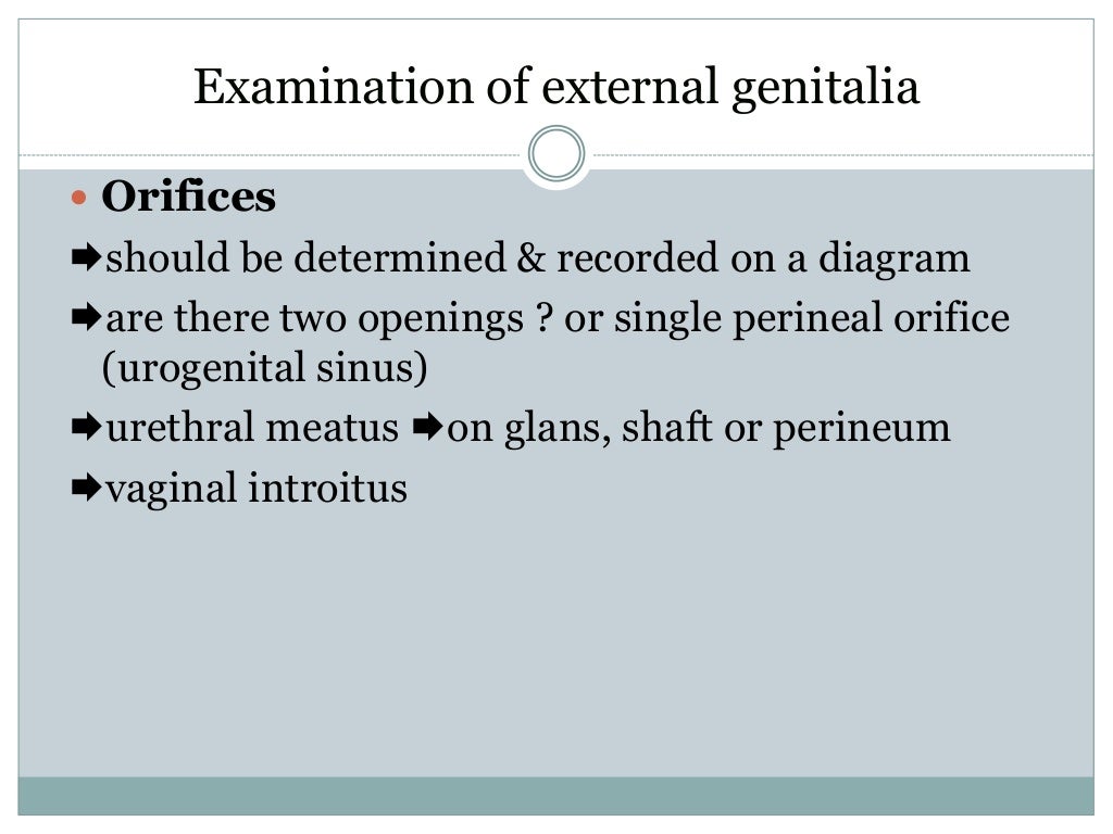 Ambiguous genitalia