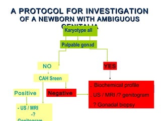 Ambiguous genitalia presentation | PPT