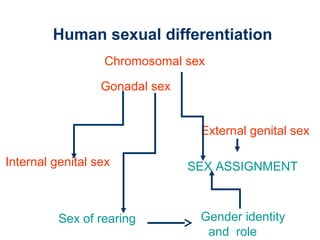 Ambiguous genitalia presentation | PPT