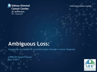 Ambiguous Loss | PPTX