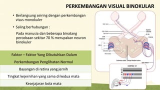 Amblyopia DNP | PPTX