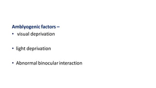 Amblyopia | PDF