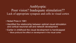 amblyopia.pptx