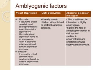 AMBLYOPIA (LAZY EYE).pptx lasy eye human disorder | PPTX
