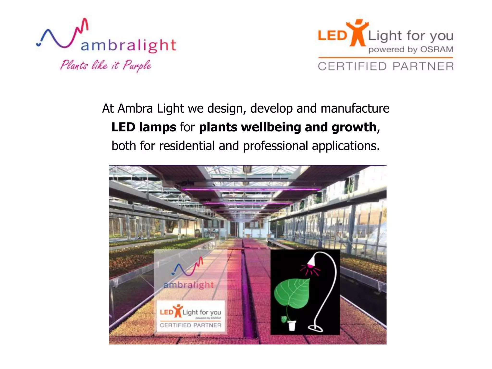Ambralight LED lights for horticulture and floriculture. | PPT