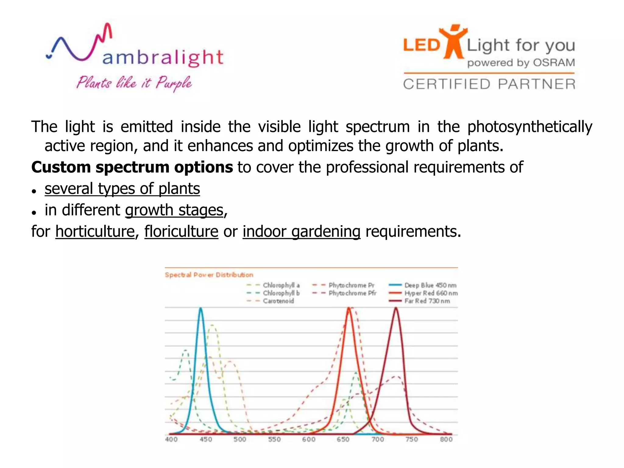 Ambralight LED lights for horticulture and floriculture. | PPT