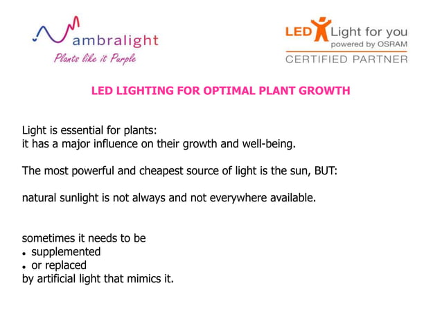 Ambralight LED lights for horticulture and floriculture. | PPT