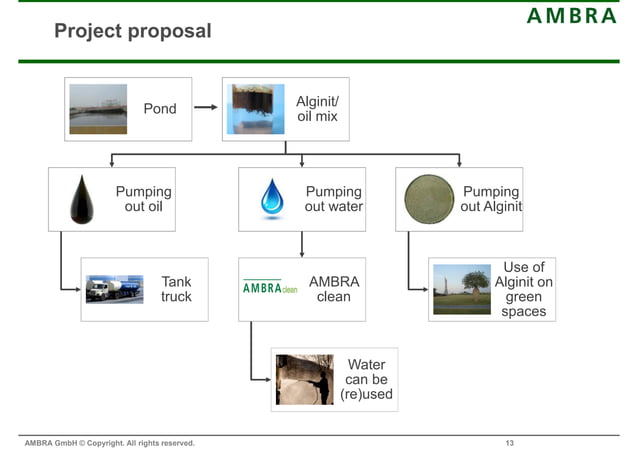 Ambra Solutions Petrochemical Industry | PPT