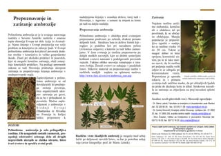 Ambrosia zlozenka | PPT