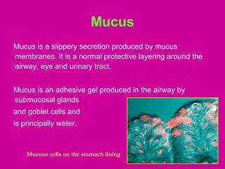Ambroxol Presentation | PPT