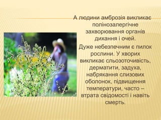 Ambroziya | PPTX