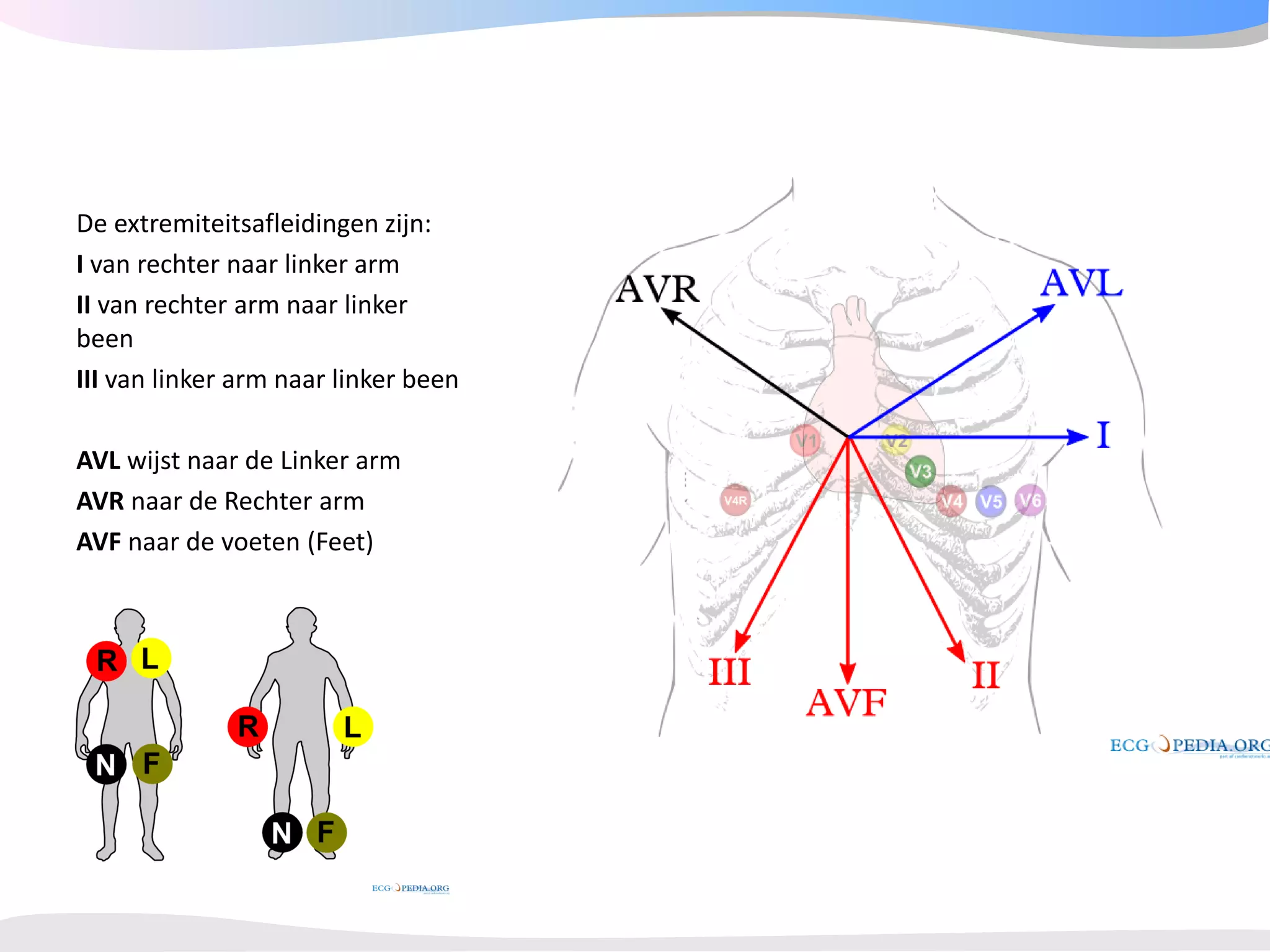 ECGpedia ECG course part I: Basic electrocardiography | PPT