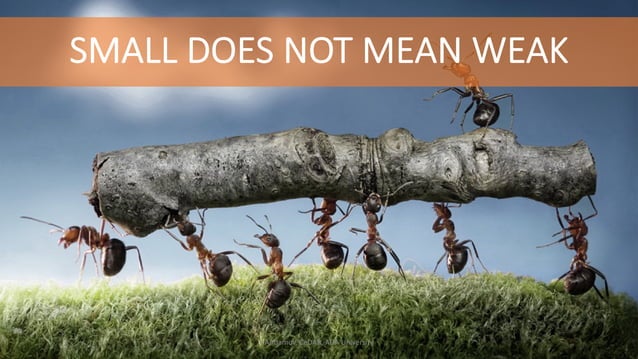 Big Data and High Performance Computing | PDF | Databases | Computer Software and Applications