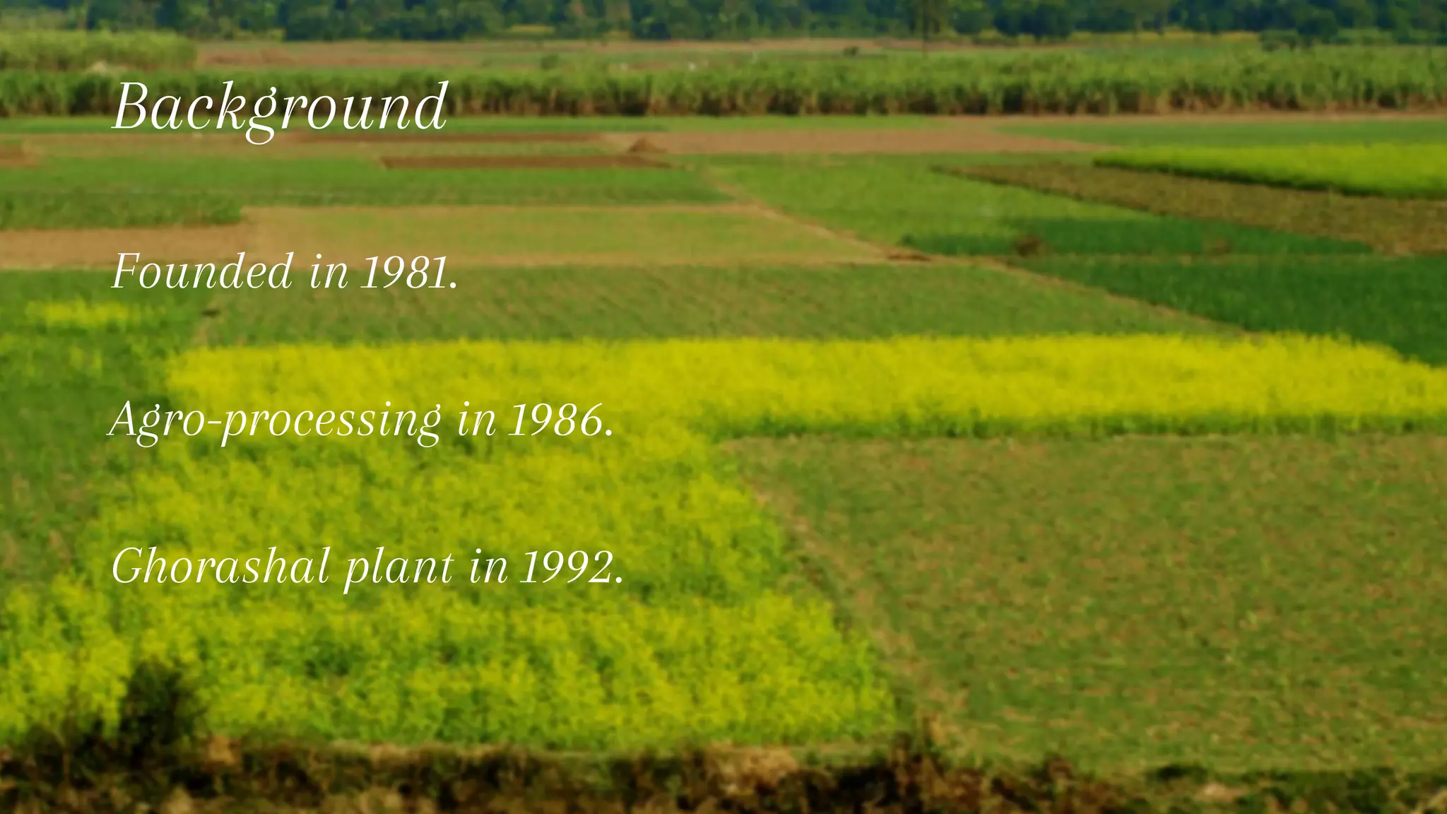 AMCL Pran PPT Final.pdf