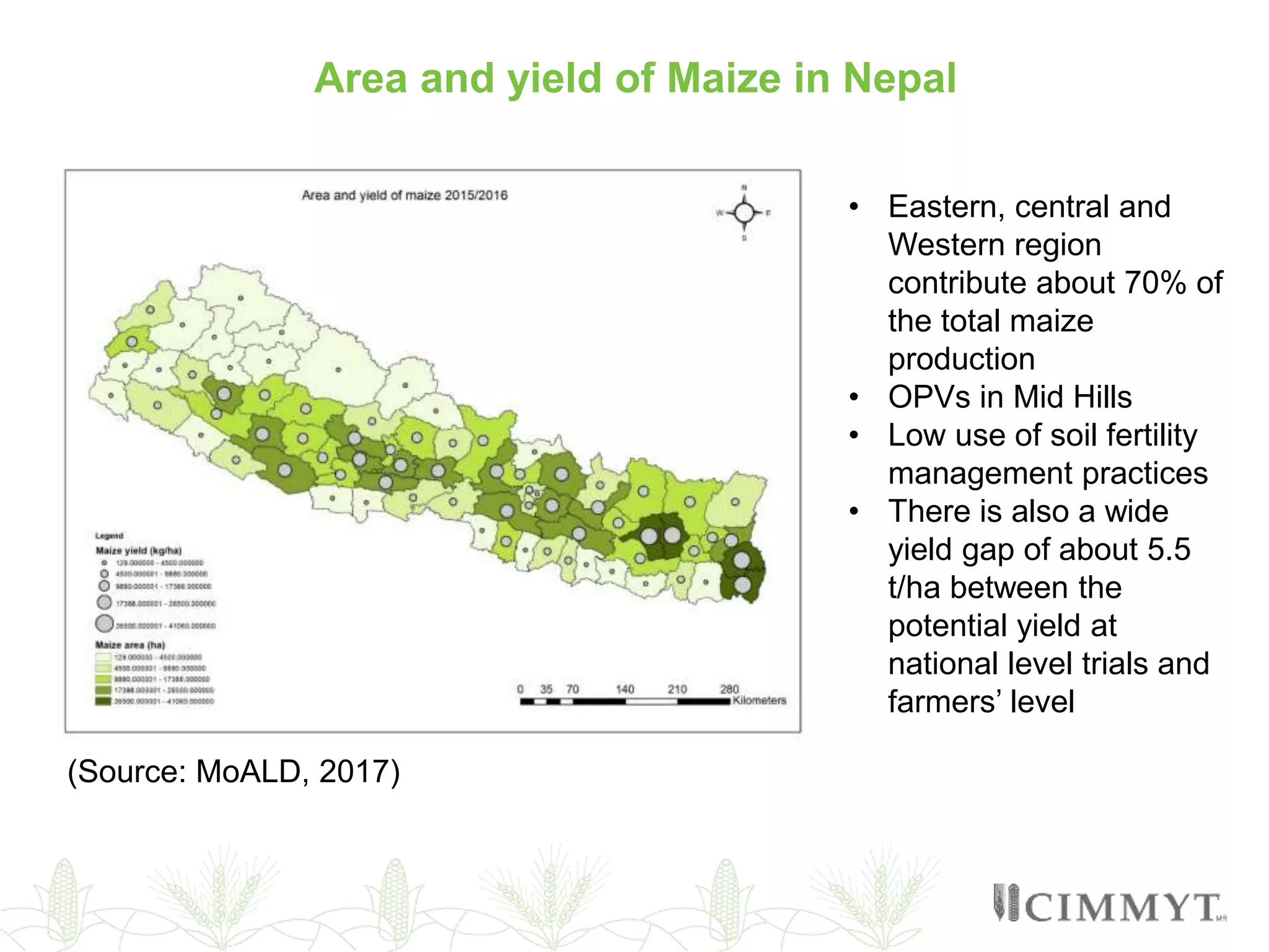 Maize market development in Nepal | PPTX