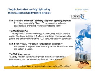 AmCorp Utility Audit | PDF