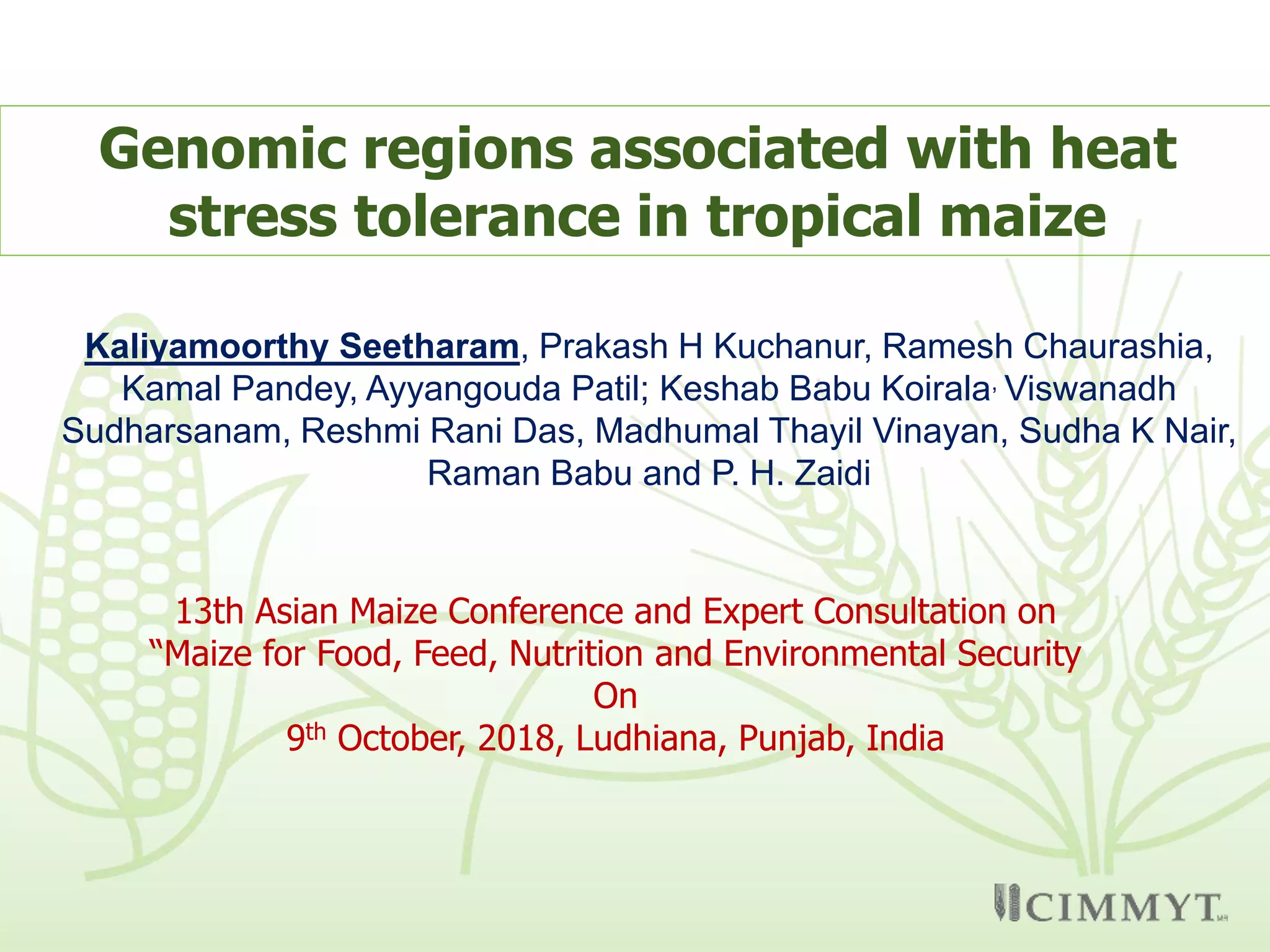 Heat stress tolerance in tropical maize | PPTX
