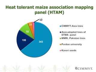 Heat stress tolerance in tropical maize | PPTX