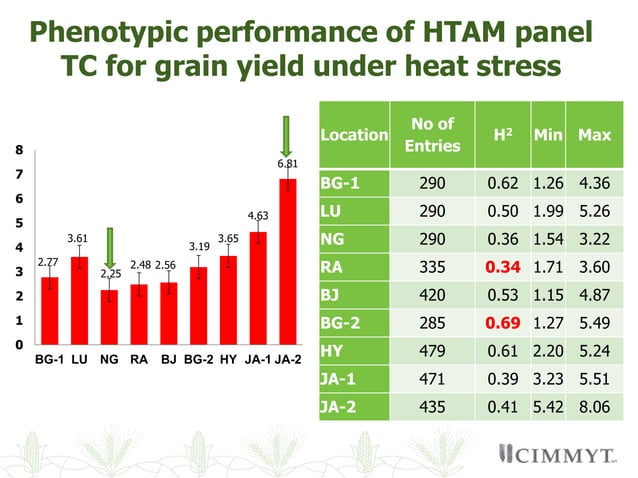 Heat stress tolerance in tropical maize | PPT