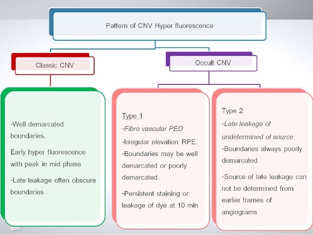 Age related macular degeneration