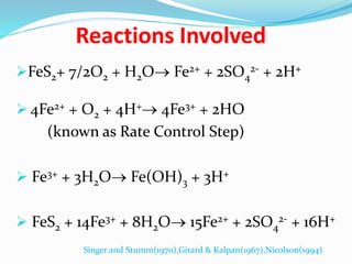 Acid Mine Drainage & its Environmental Impact | PPTX