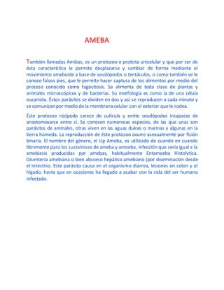 Ameba | DOCX