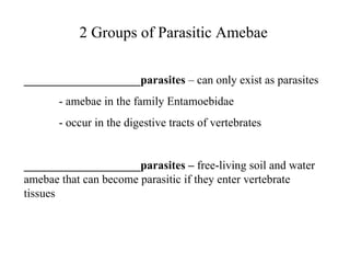 Amebae | PPT