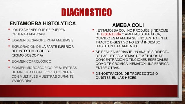 Entamoeba Coli Tratamiento