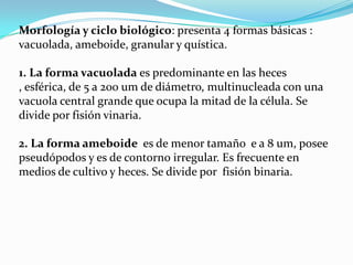Amebas de vida libre, del intestino humano y de clasificacion ...