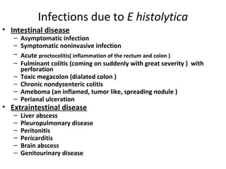 Amebiasis | PPT