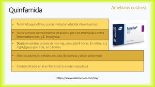 Amebiasis Cutánea | PPTX