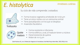 Amebiasis Cutánea | PPTX