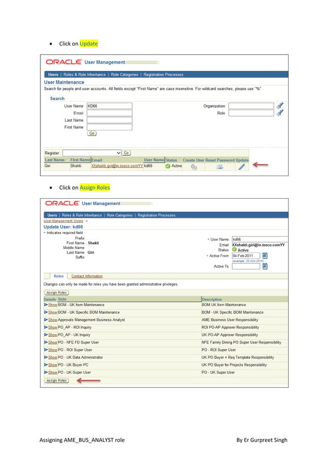 Assigning role AME_BUS_ANALYST | PDF