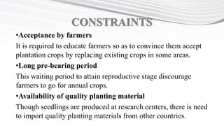 SCOPE, IMPORTANCE AND CONSTRAINTS OF PLANTATION CROP PRODUCTION | PPTX