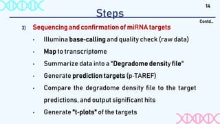 Degradome sequencing and small RNA targets | PPT