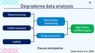 Degradome sequencing and small RNA targets | PPT