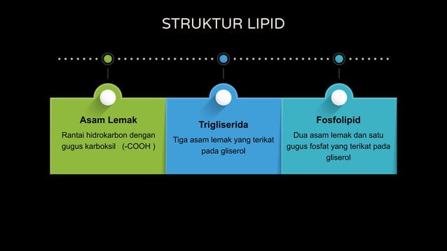 Lipid Bio Kimia: Penjelasan, Struktur.pptx.pdf