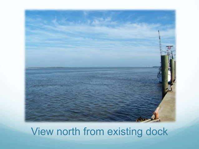 Amelia new marina project | PPTX | Land and Farms | Real Estate