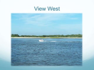 Amelia new marina project | PPTX | Land and Farms | Real Estate