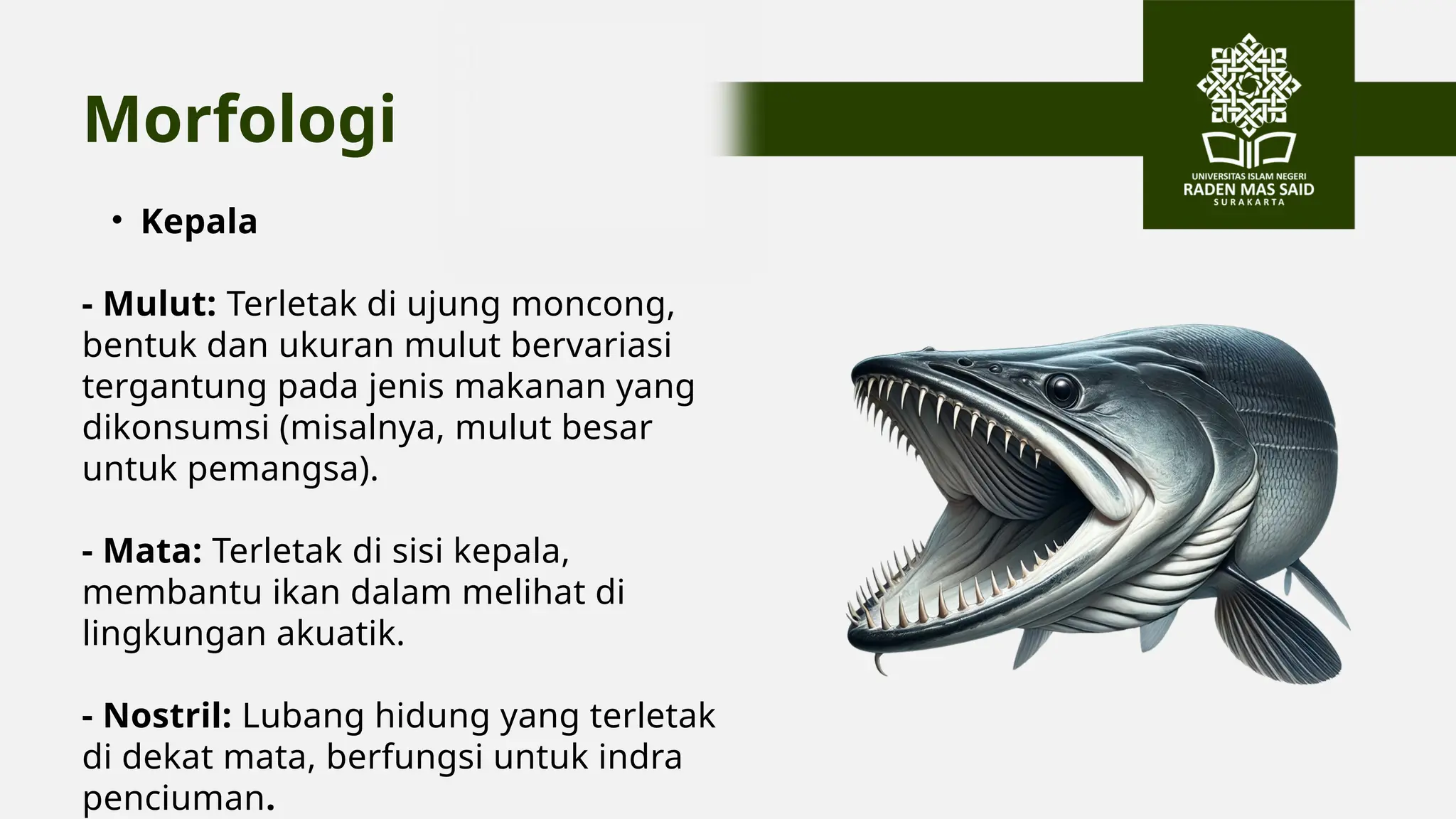 Pengenalan, Jenis Kelas, Karakteristik Animalia Pisces | PPTX