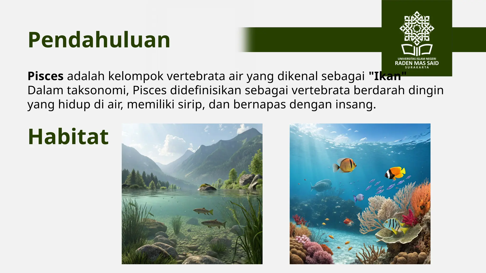 Pengenalan, Jenis Kelas, Karakteristik Animalia Pisces | PPTX