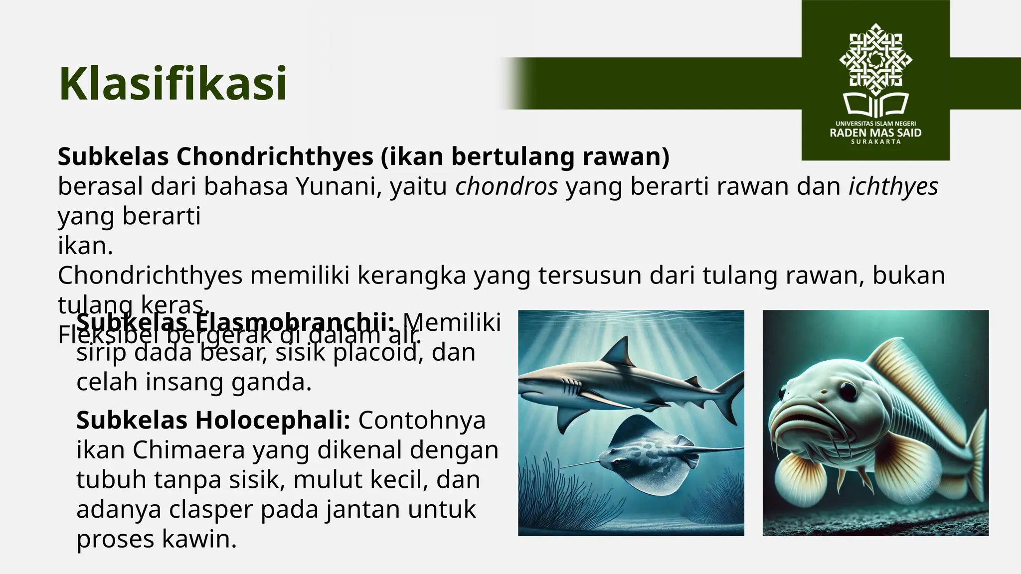 Pengenalan, Jenis Kelas, Karakteristik Animalia Pisces | PPTX