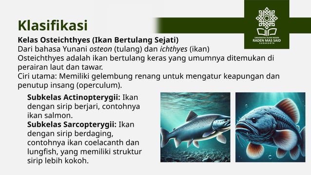 Pengenalan, Jenis Kelas, Karakteristik Animalia Pisces | PPTX