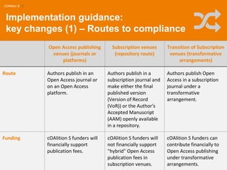 Plan S and Diamond Open Access | PPT