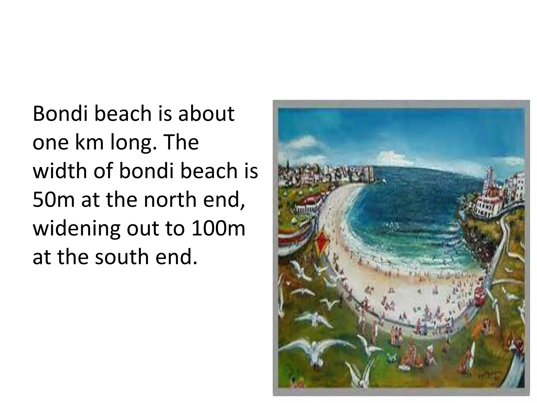 Amelie project - bondi beach | PPTX