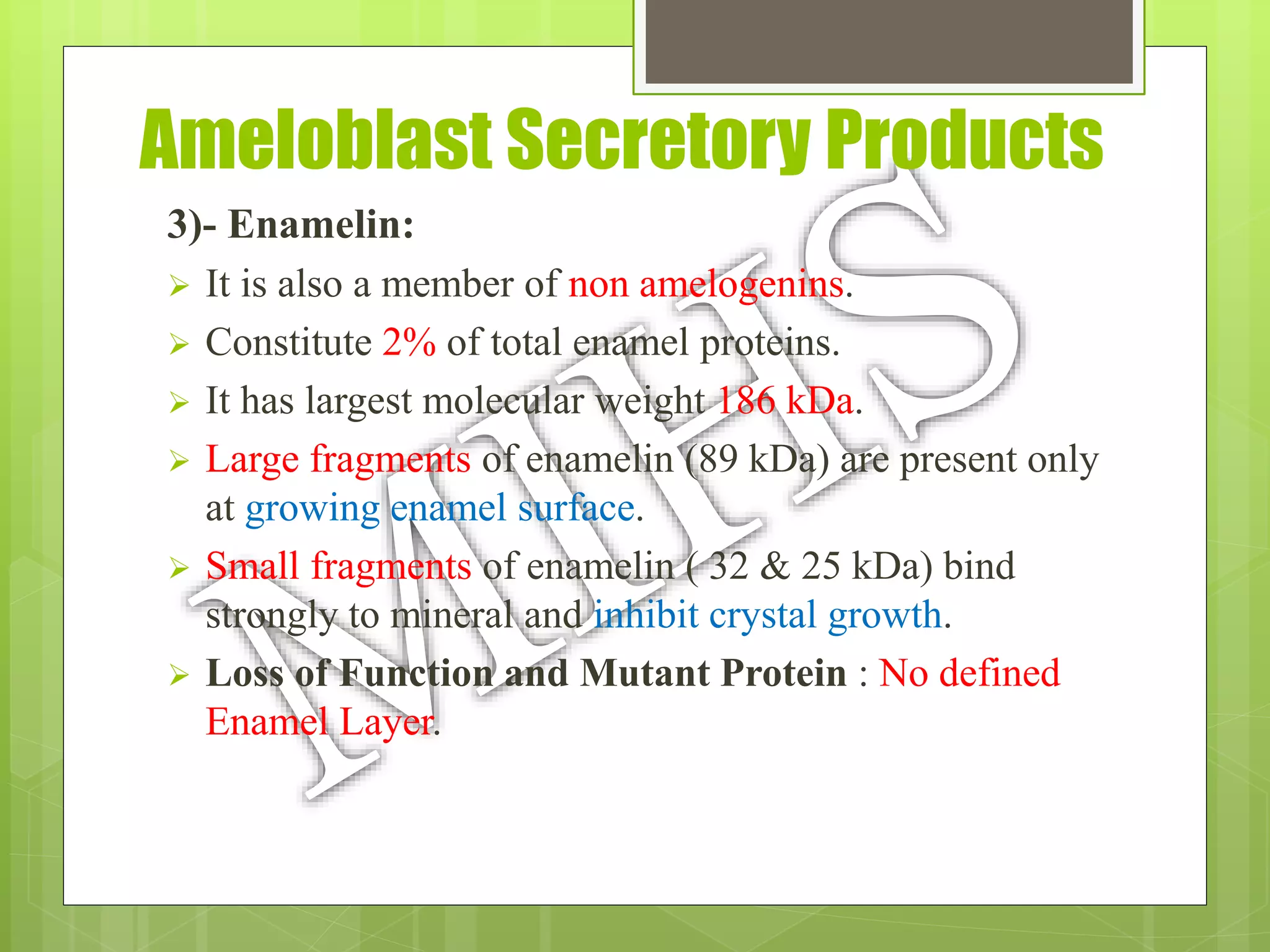 Amelogenesis | PPTX